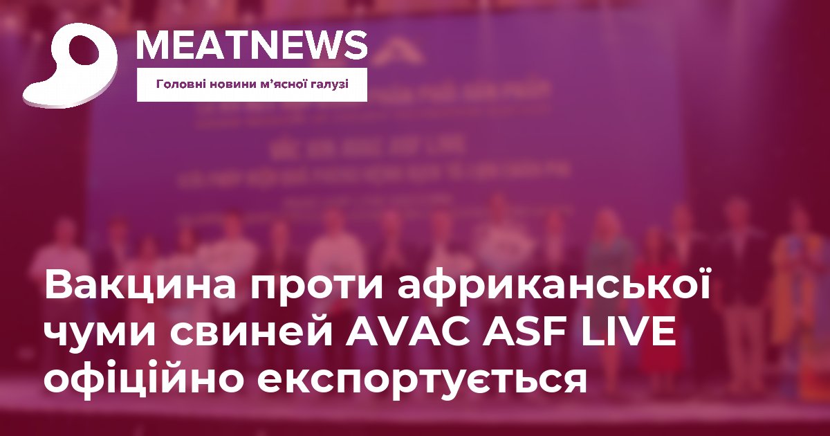 Вакцина проти африканської чуми свиней AVAC ASF LIVE офіційно експортується - MeatNews